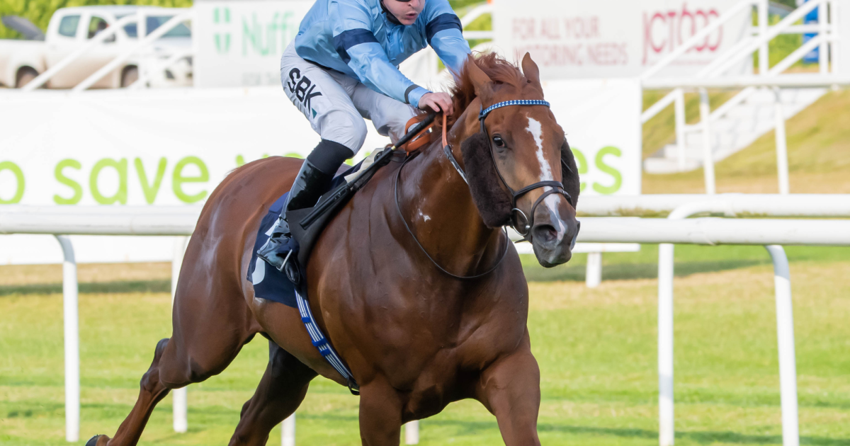 Doncaster Race Day 2025